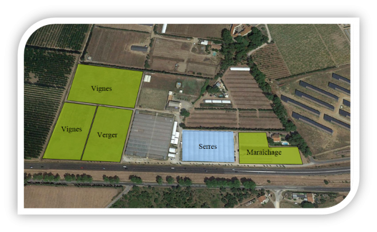 ANTEDIS : expérimentations agronomiques - essais au champ variétés ...